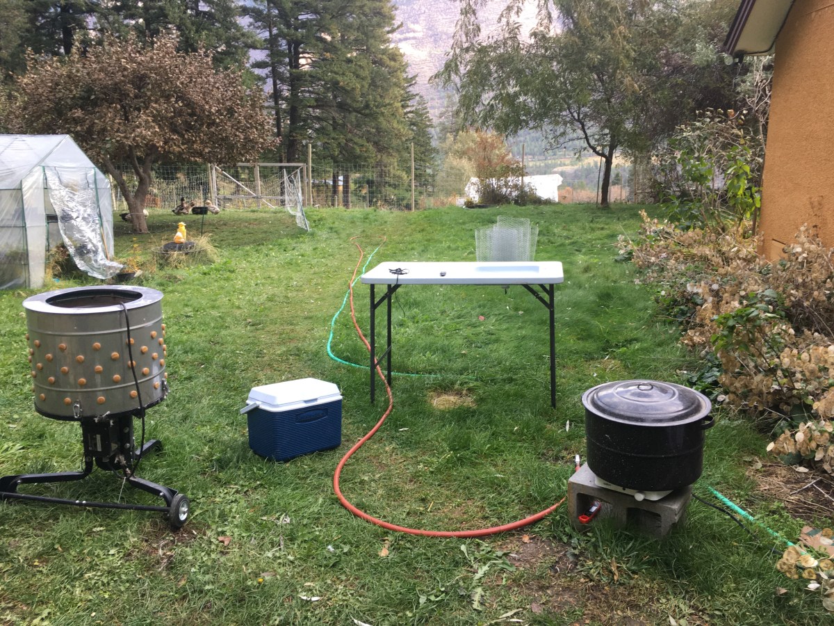 Chicken Processing Tools – Rose Hill Farm